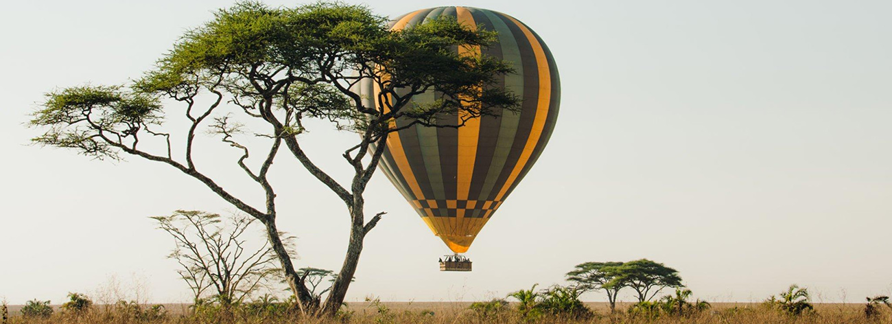 15 days balloon and flying wildlife safari perfect for honeymooners ...